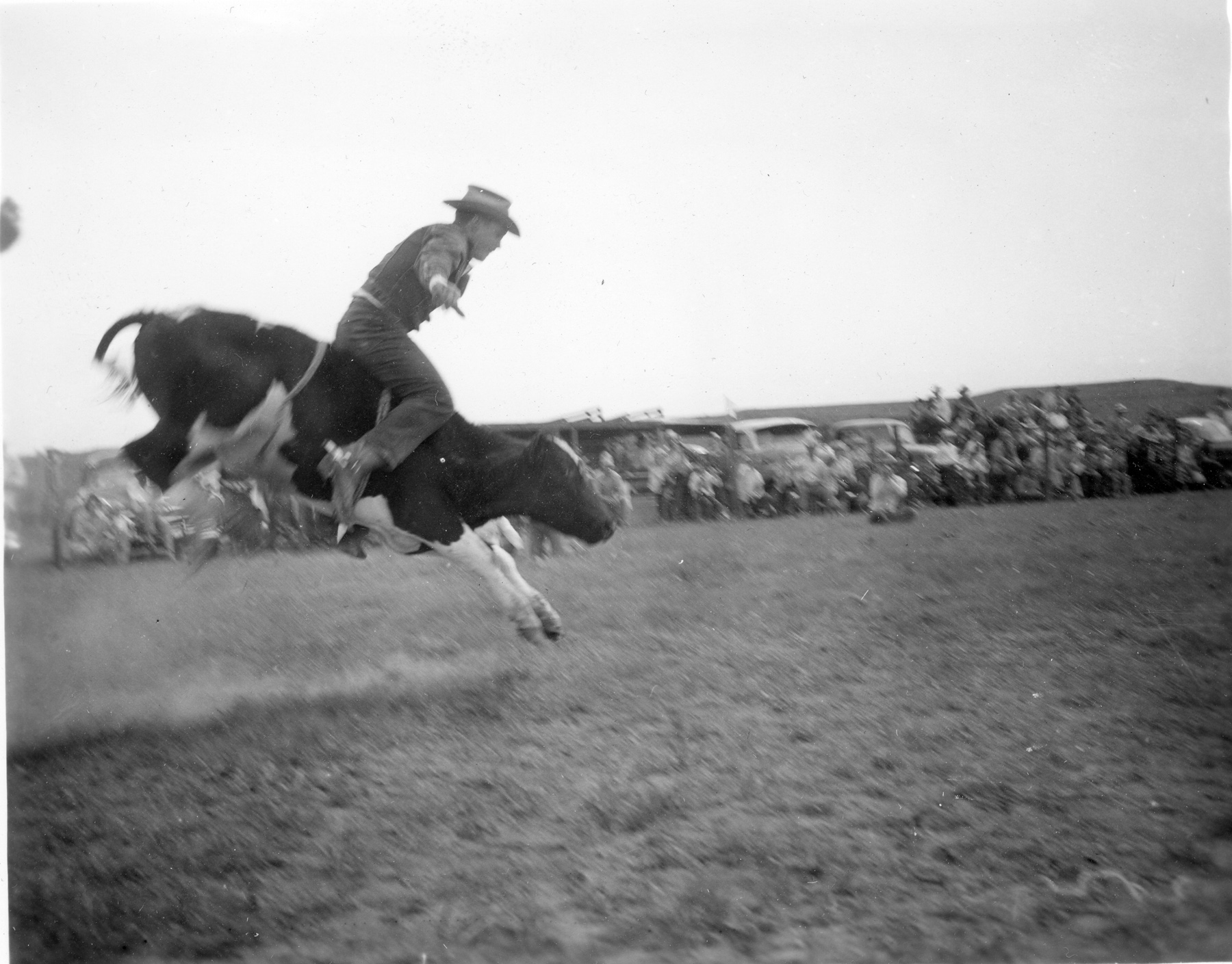 Bulldogging With Cleo Schultz – Flint Hills Special